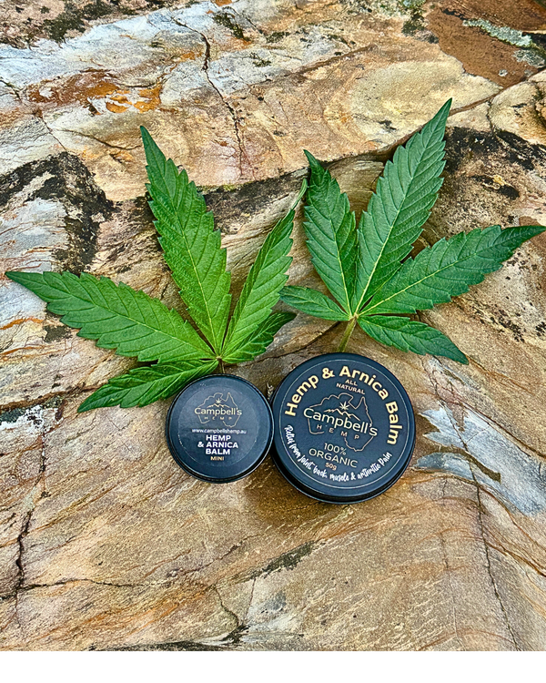 Hemp & Arnica Balm for Joints/muscle pain relief – Campbell's Hemp